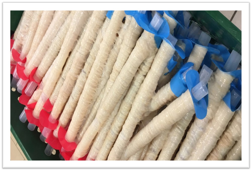 China sheep casings manufacturers, suppliers, factories, Baoding Juye ...